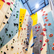 TRUBLUE IQ+ Auto Belay – Escape Climbing